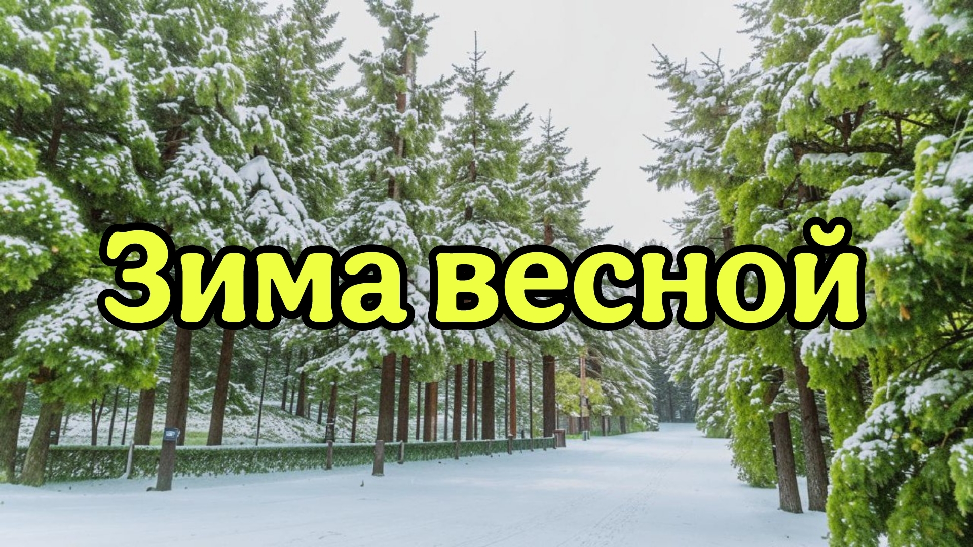 Анамальная погода в апреле