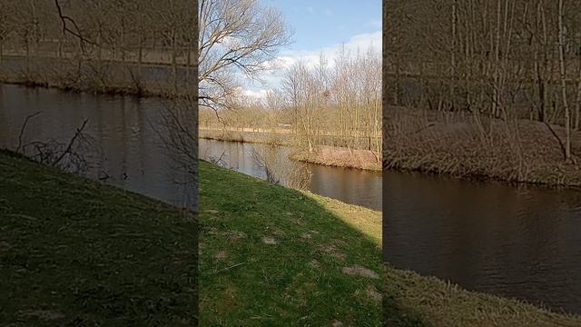 Тропарь греческий святому Созонду