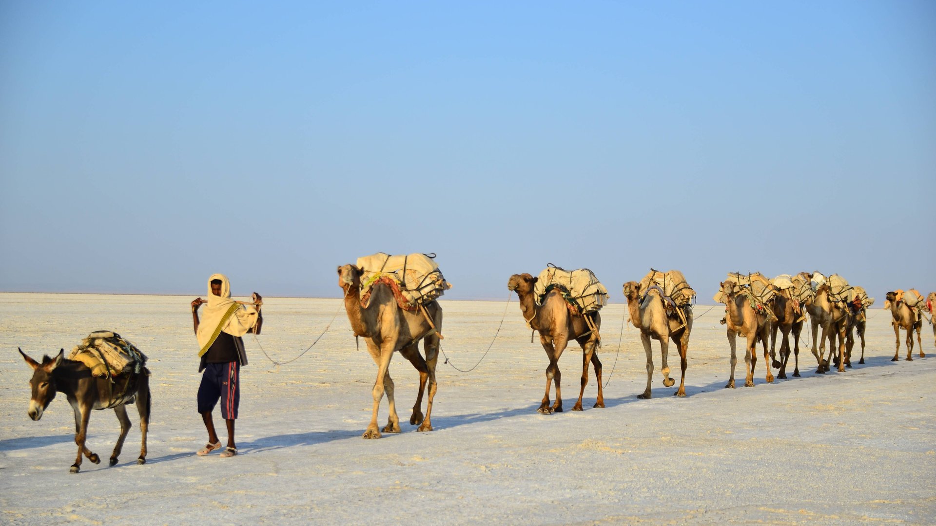 АФАРЫ. ЭФИОПИЯ