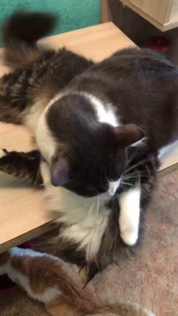 Наша карта Сбера +79089081569 - Карта для международных отправлений 4195812045549164 Примсоцбанк