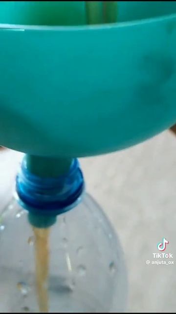 Квас из цикория