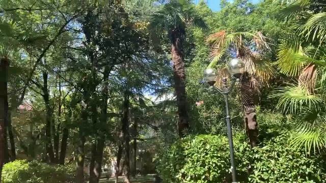 Едем в Сочи