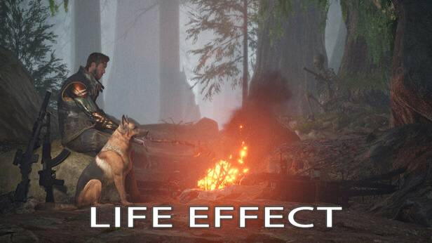 Life effect (18+) #10