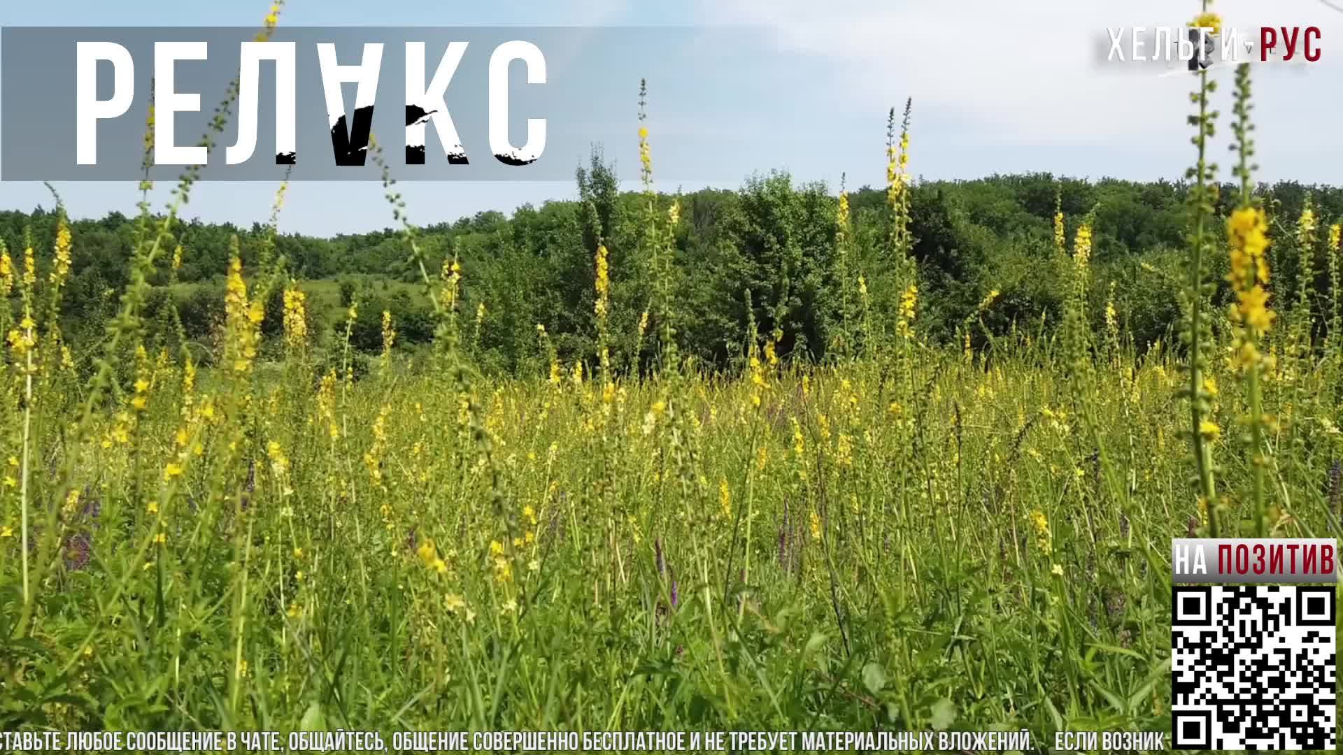 ASMR.АСМР.Релакс.021.Летнее поле.Relax. Summer field