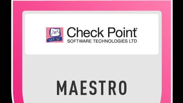 1. Introduction Maestro 2025