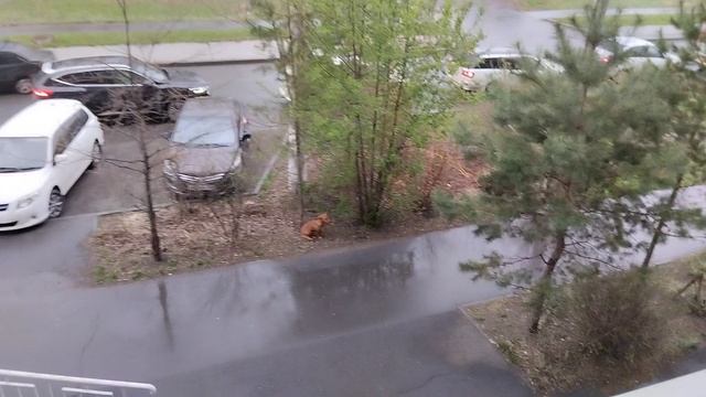 Оставили бедолагу, бессовестные фитнесеры.😏😈