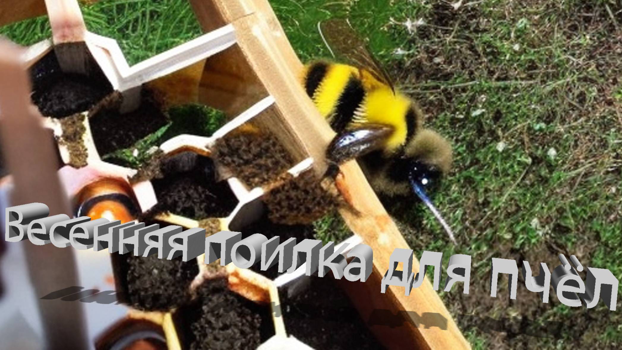 Профессор Кашковский: Как часто менять и стоит ли греть воду в весенней поилке?