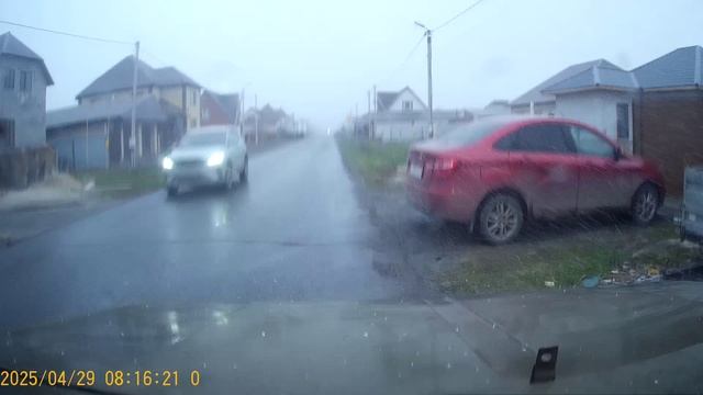 Юг Тюменской обл. Весна. 29 апреля 2025 год.