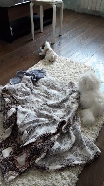 еще совсем малыш