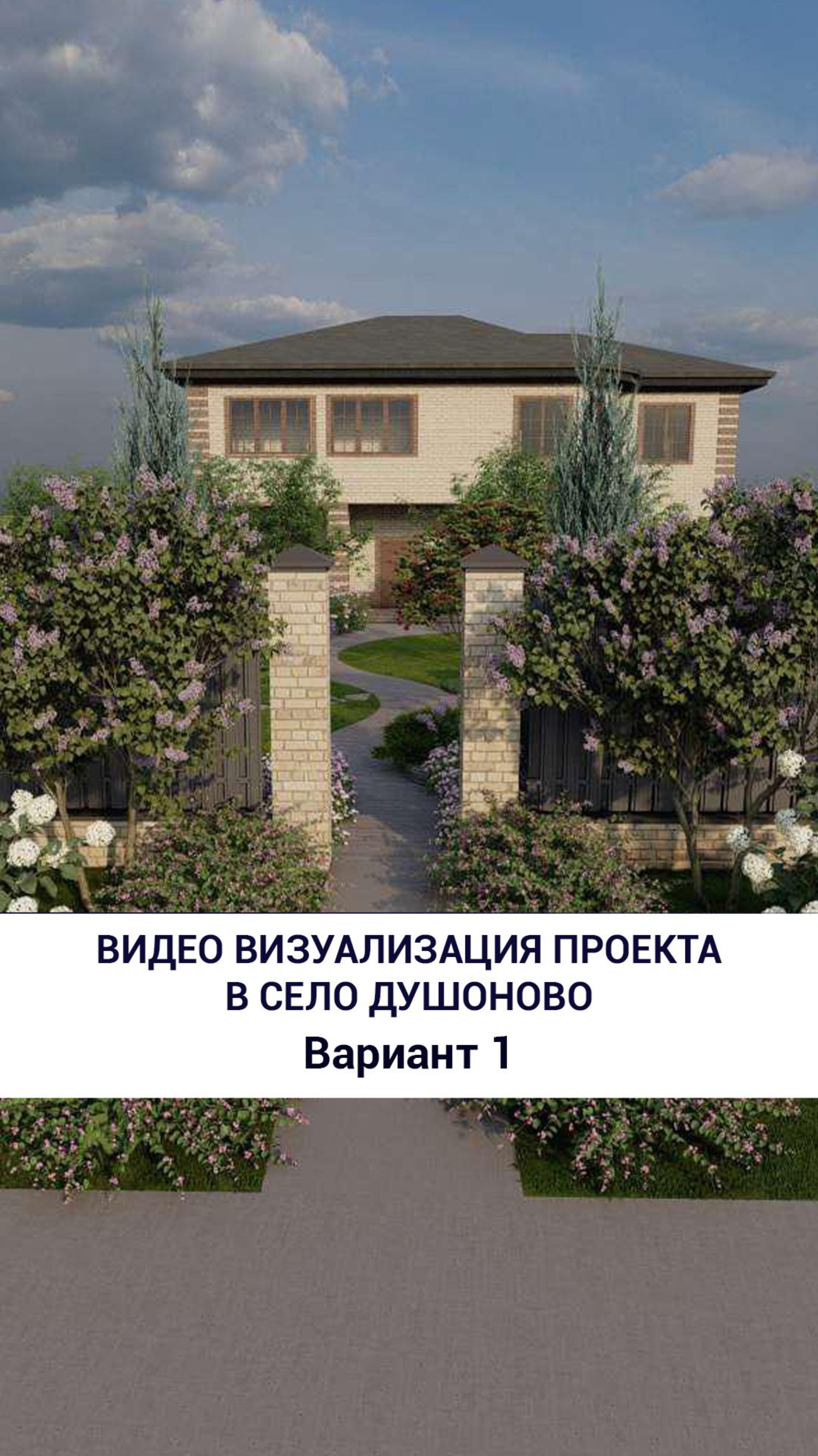 Визуализация проекта в Душоново, вариант 1