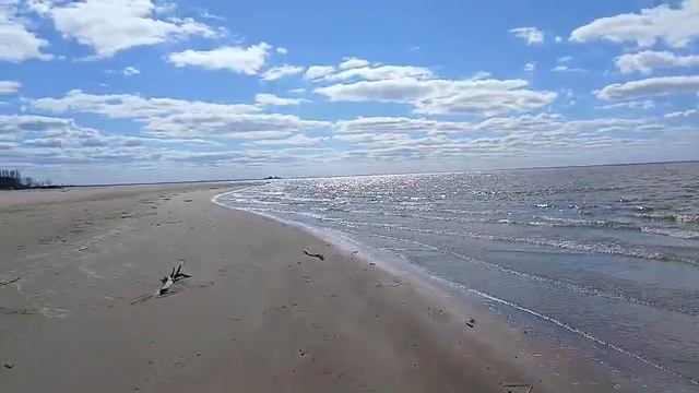 ОБСКОЕ МОРЕ СЕГОДНЯ. НОВОСИБИРСК. НСО.