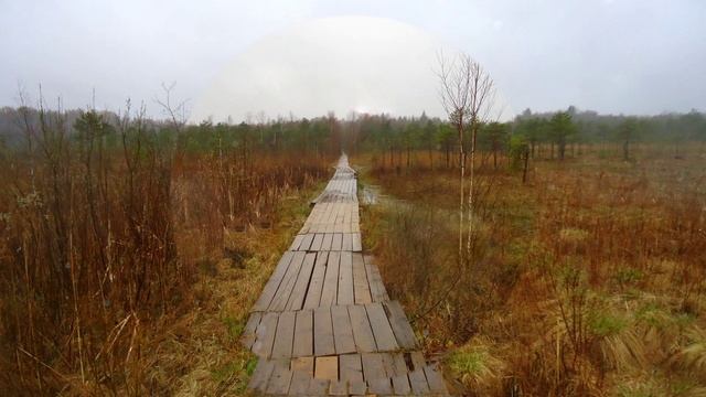 - Пойдём погуляем! - А куда...? - Пойдём на Сказку!