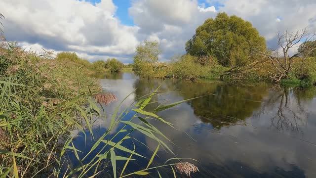 КАК НАЙТИ МЕСТО И ПРАВИЛЬНО ПОСТАВИТЬ КАПКАН НА БОБРА. МАСТЕР-КЛАСС от дедушки ДОМИНИКА.