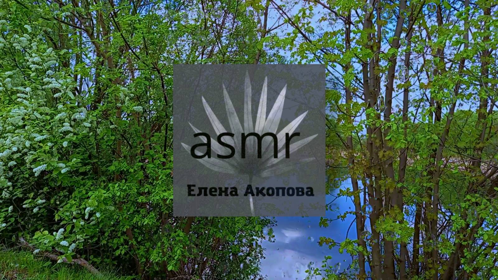 Засыпайте под тихий и приятный звук дождя на пруду в весеннюю погоду