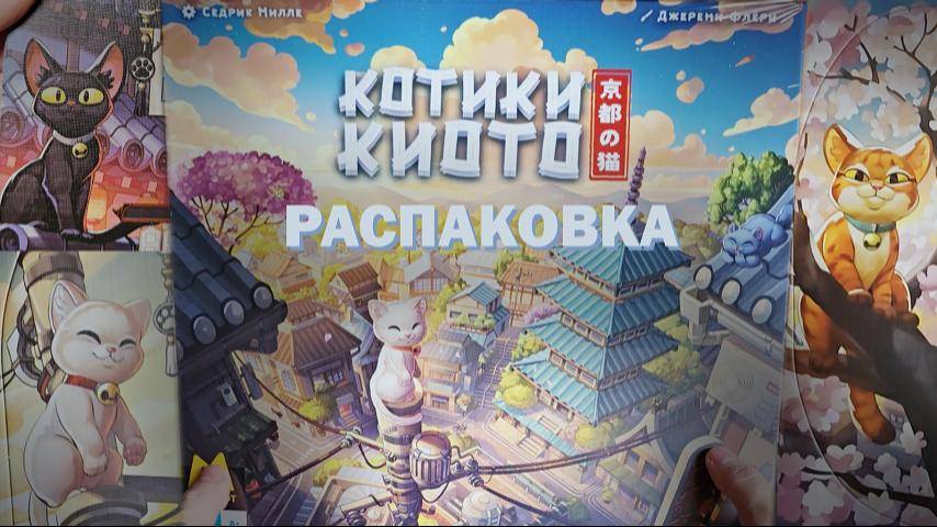 Котики Киото. Распаковка, СМР, мини-обзор и общение