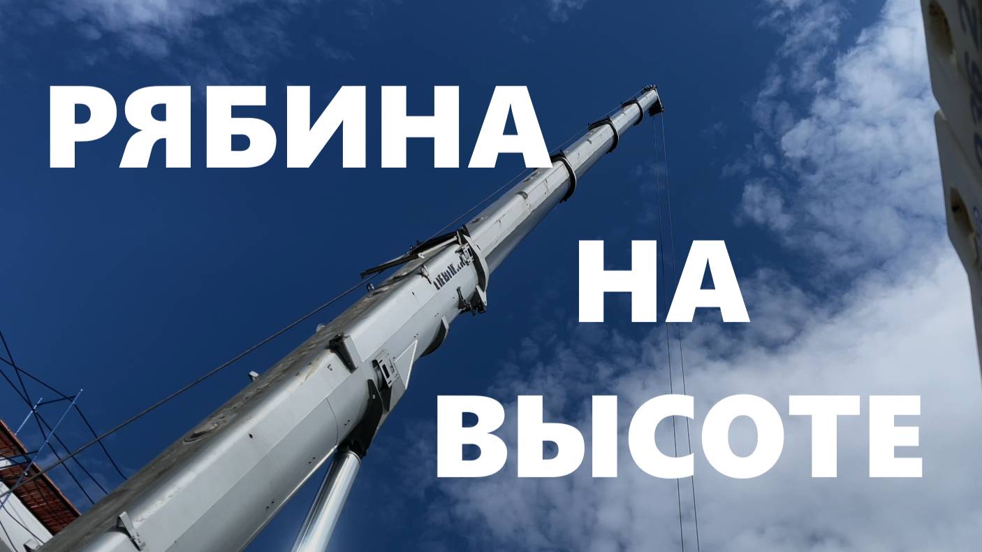 Рябина на ВЫСОТЕ