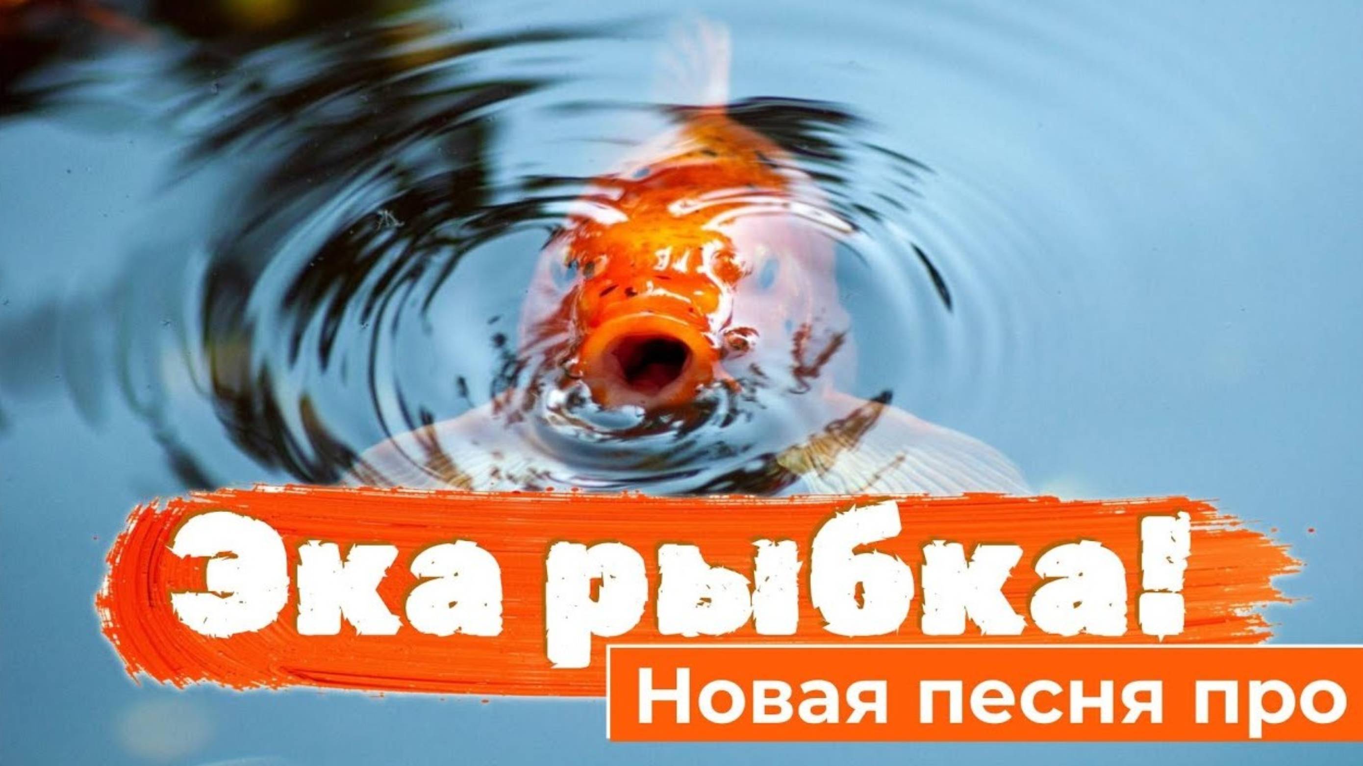 Эка рыбка! 🐟ЭТО ПЕСНЯ о форели из Карелии для бренда ЭкоФорель #свежаярыба #доставка