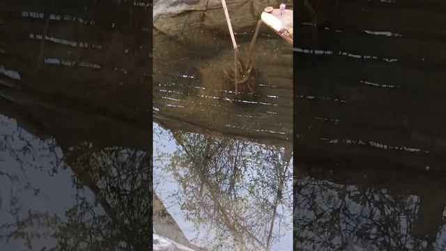 он капитан, и родина его