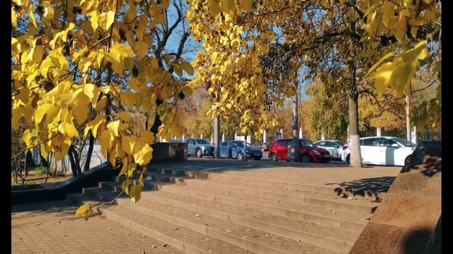 работа Ксении Семикопенко