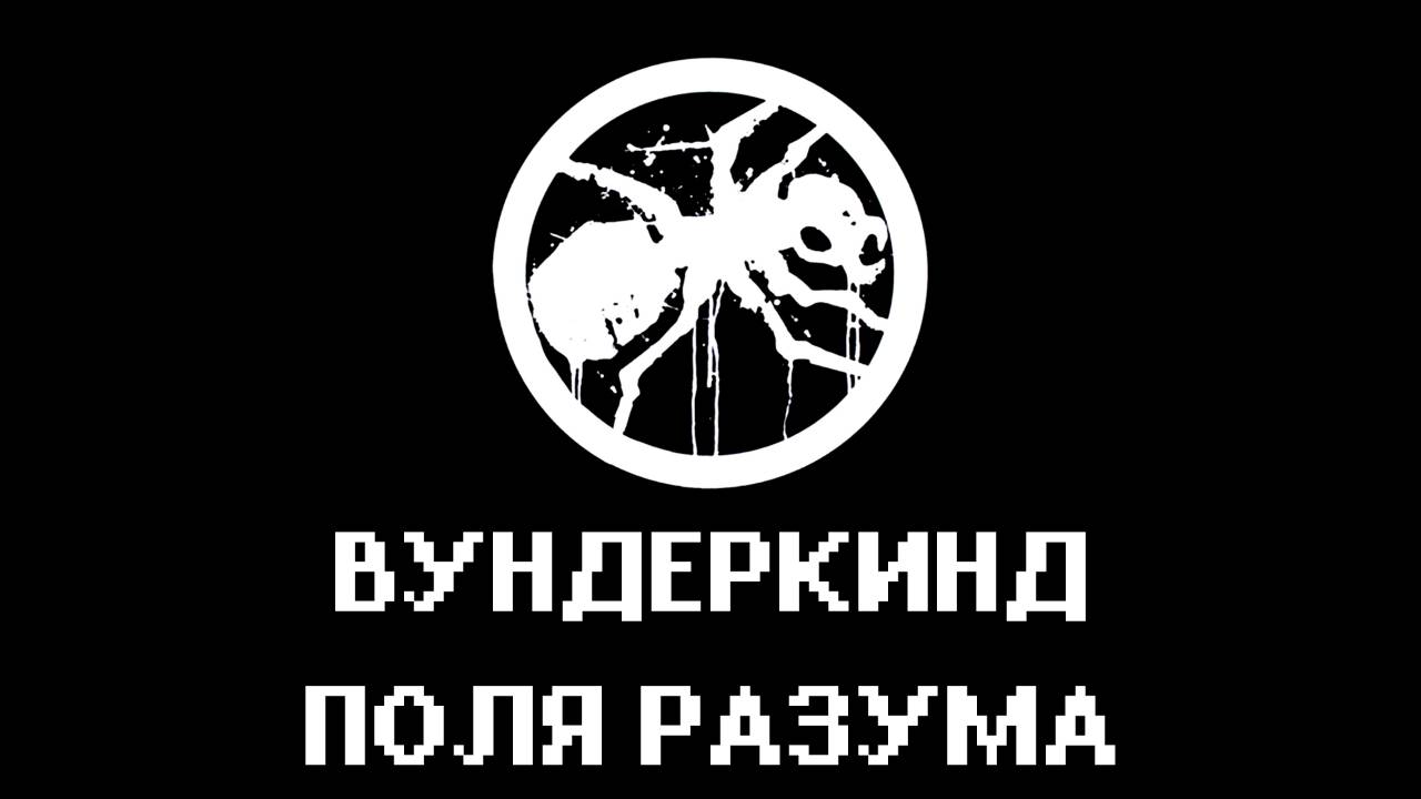 Вундеркинд - Поля Разума