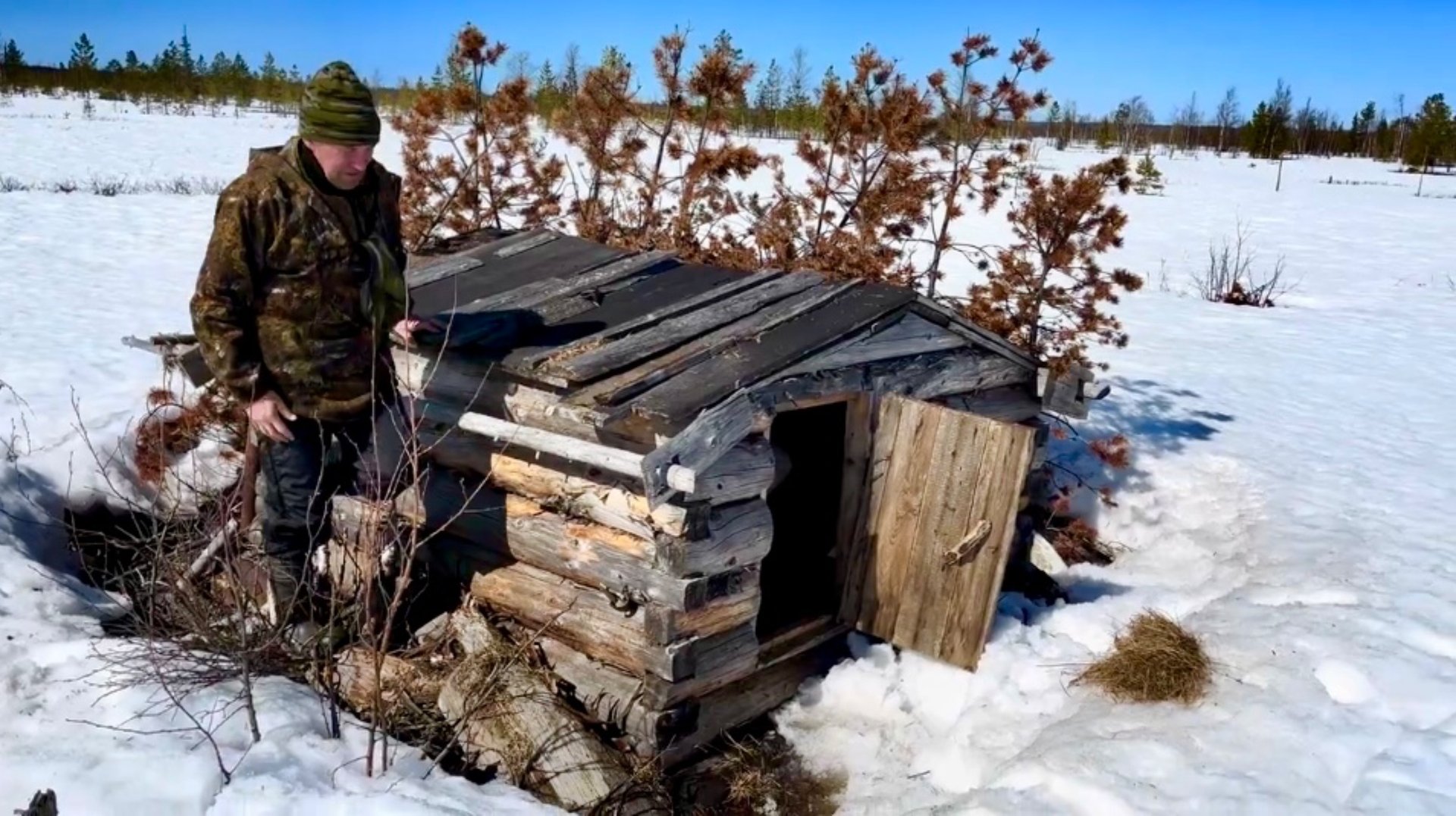 Ходили на болото, почистил скрадок. Видели гусей, пуночки летают. Весна 24 г.