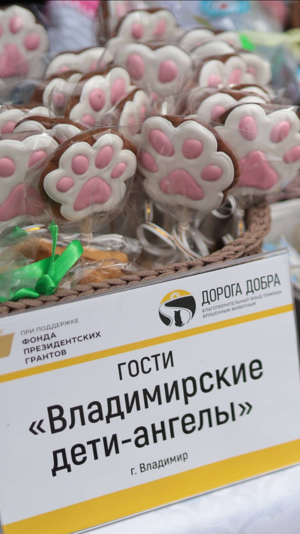 Первый антифестиваль бездомных животных г.Владимир