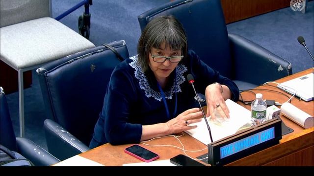 Туве Совндаль Гант. Важные мысли. ООН 28 апреля