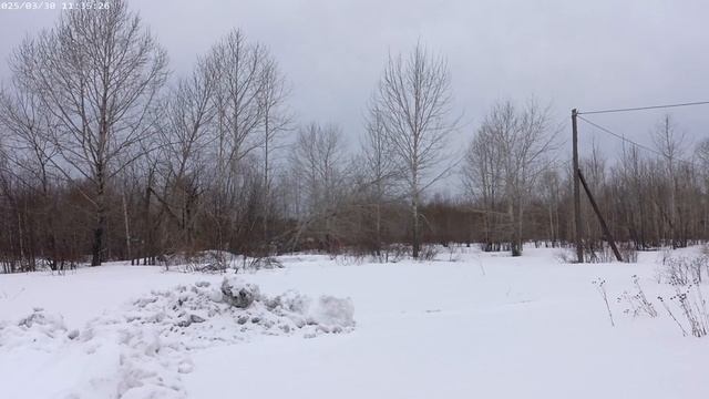 Прошлое и настоящее.