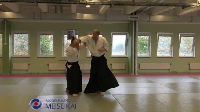 7 Aikido Ai Hanmi Ikkyo Omote Upper Position Shishiya Sensei Malmö, 2019