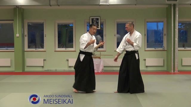 14 Aikido Ken No Tebiki Ikkyo Omote Shishiya Sensei Malmö 2017