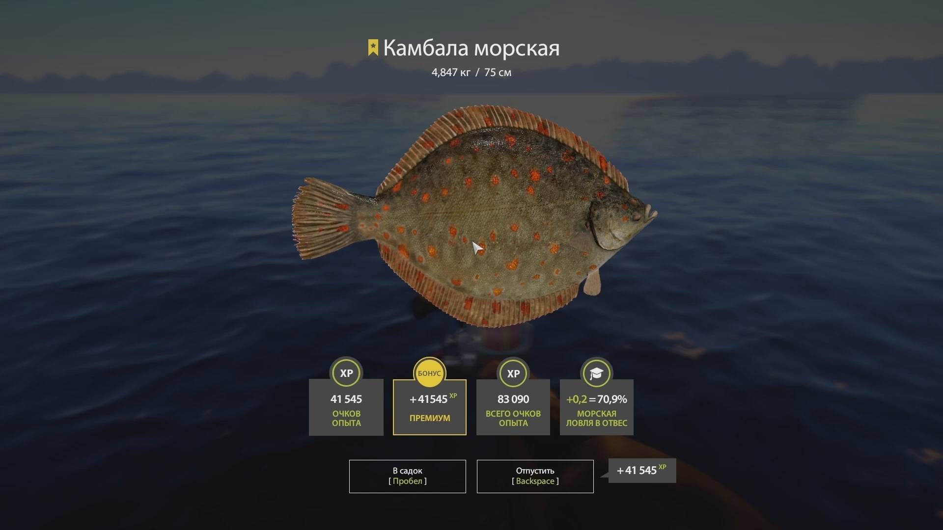 РР4 | Норвежское море | Трофейная камбала морская на патерностер