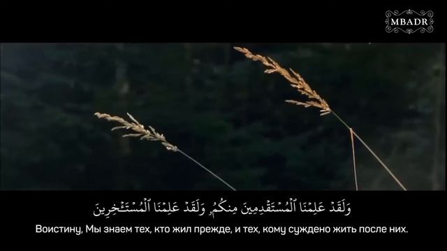 Красивое чтение Корана с (Переводом)
Сура Аль-Хиджр 
Чтец: Ислам Субхи