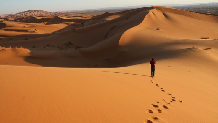 Ozzy Osbourne — I Just Want You