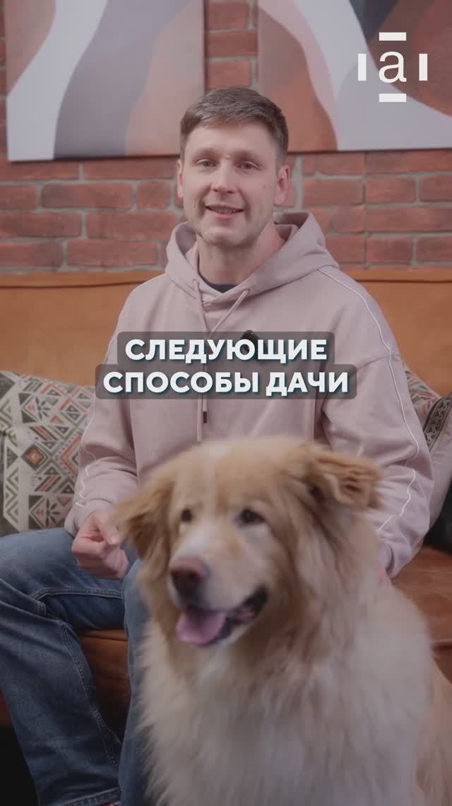 Рассказываем про самую частую ошибку владельцев домашних животных при даче таблеток питомцу.