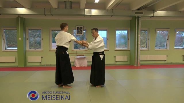11 Aikido Ai Hanmi Iriminage Omote Middle Position Shishiya Sensei Malmö, 2019