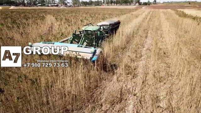 Жатка для семян конопли с функцией бережного очёсывания. Англия #жатка #семена #лен