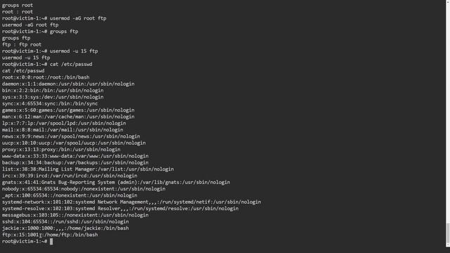 28. Establishing Persistence On Linux
