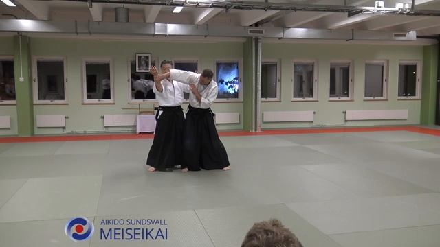 8 Aikido Ai Hanmi Ikkyo Ura Shishiya Sensei Malmö, 2019