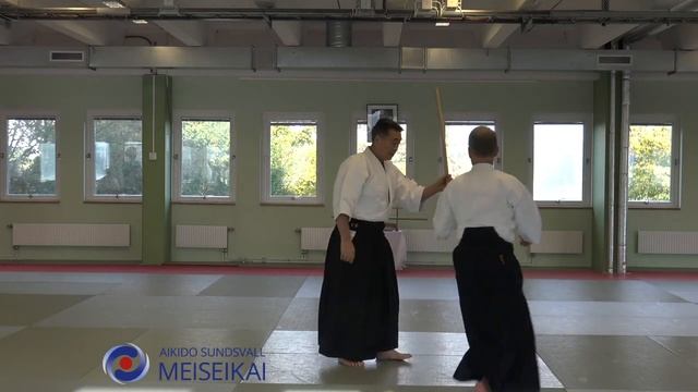 5 Aikido Tachidori Iriminage Omote Shishiya Sensei Malmö 2017