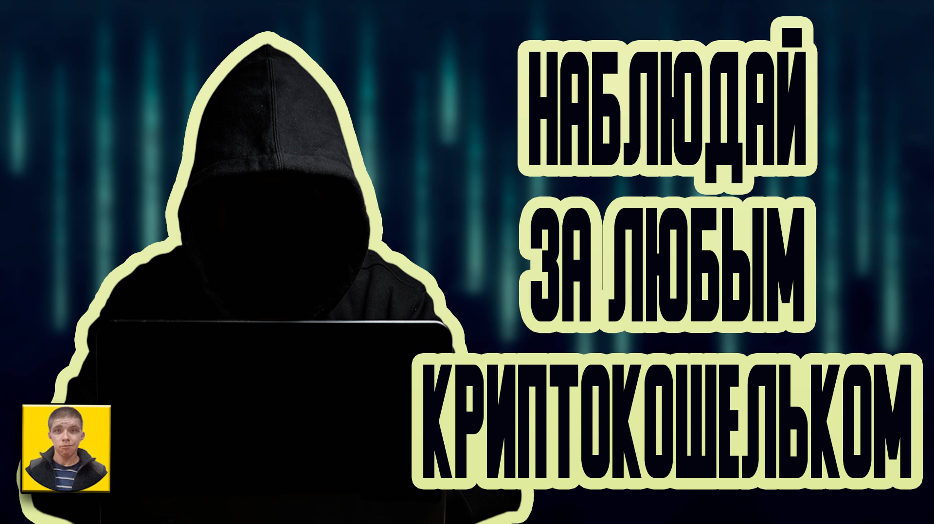 Крипто-кошельки: как использовать режим просмотра"