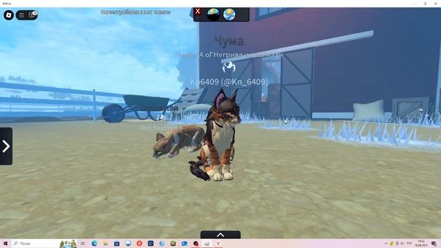 клип-мне так повезло-коты воители(песня Чумы мстив Буре что забрала любовь Огнегрива)