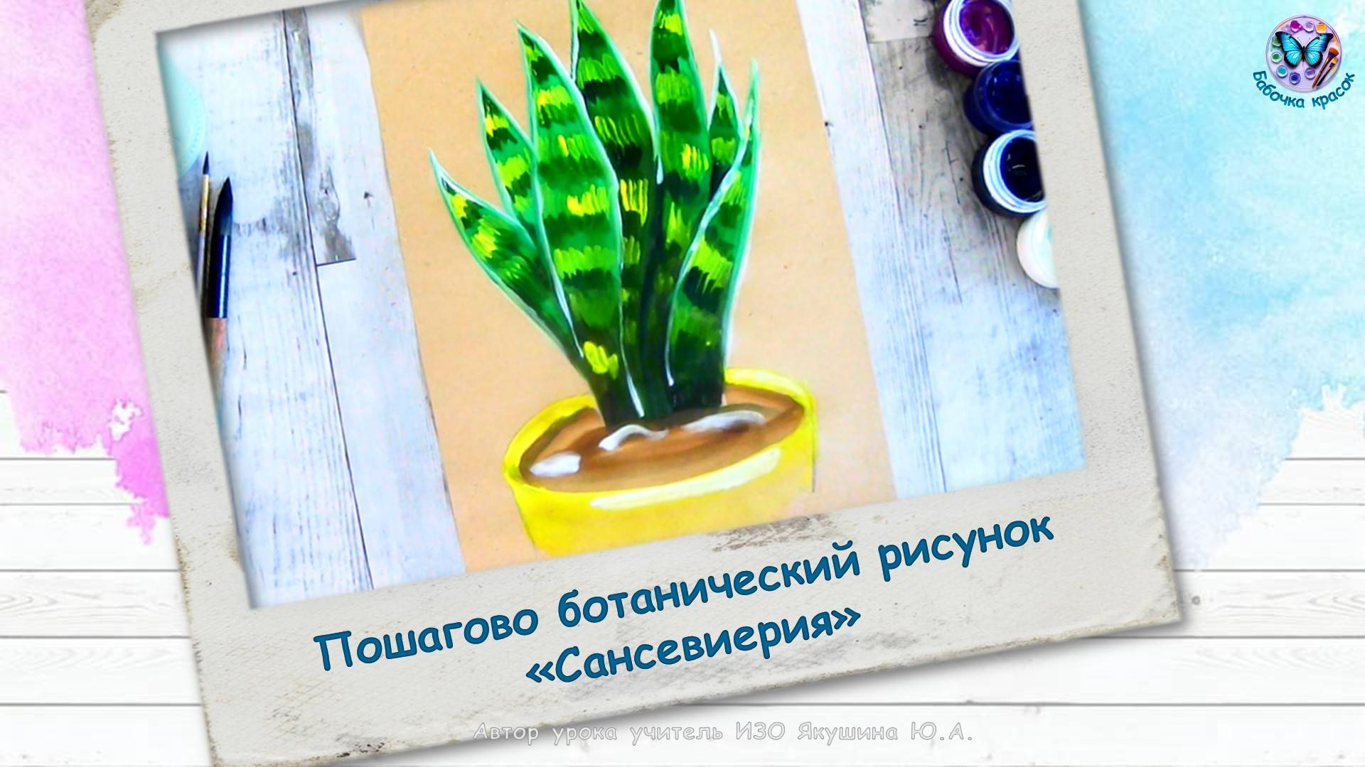 Пошагово ботанический рисунок «Сансевиерия»