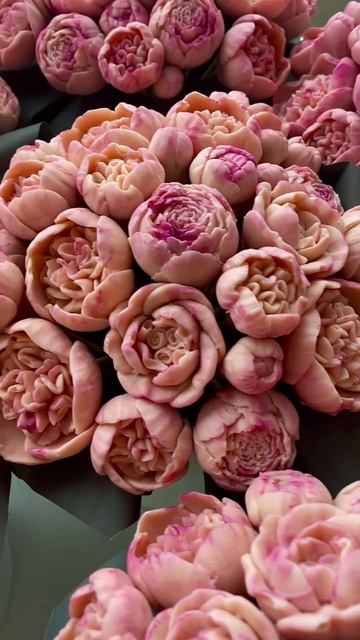 Букеты из шоколадных пионов — оригинальная идея подарка на праздники