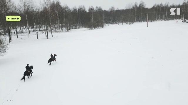 «Я – турист. В поисках золотого кольца». Углич.