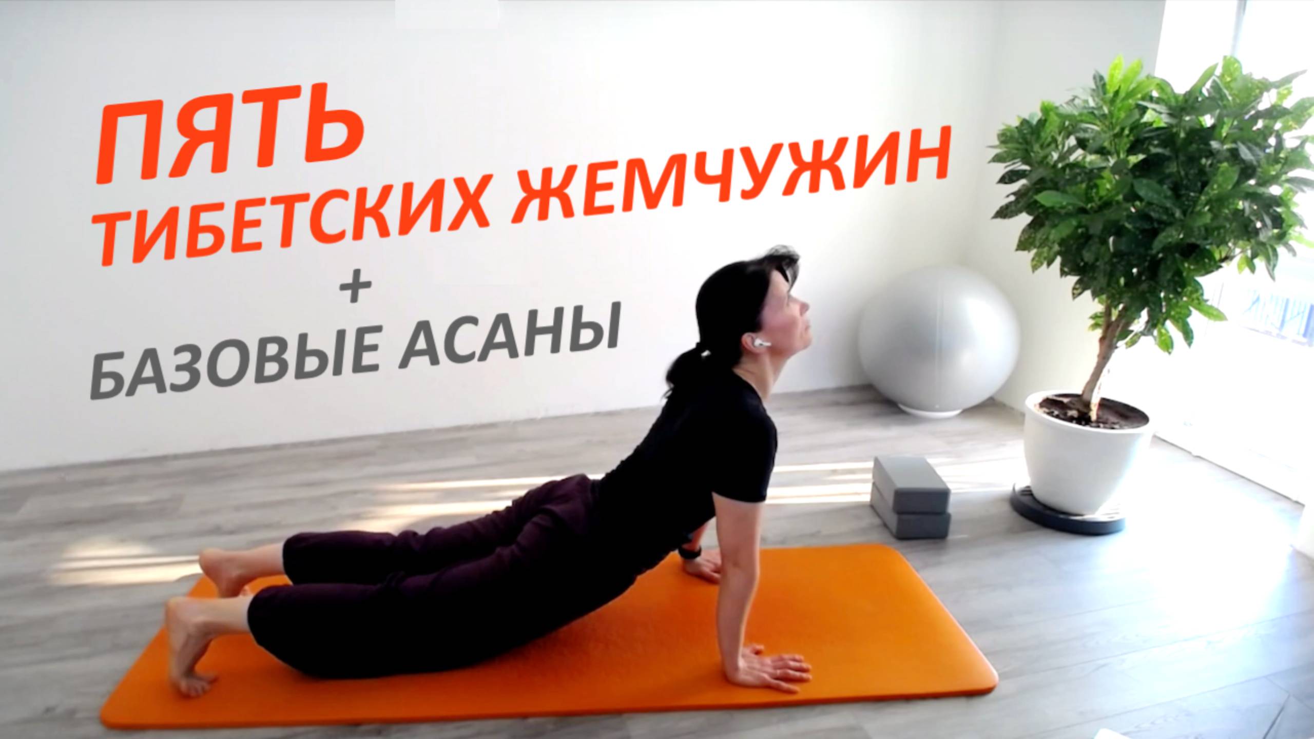 Асаны Раджадхираджа йоги | Rajadhiraja Yoga | Занятие 53