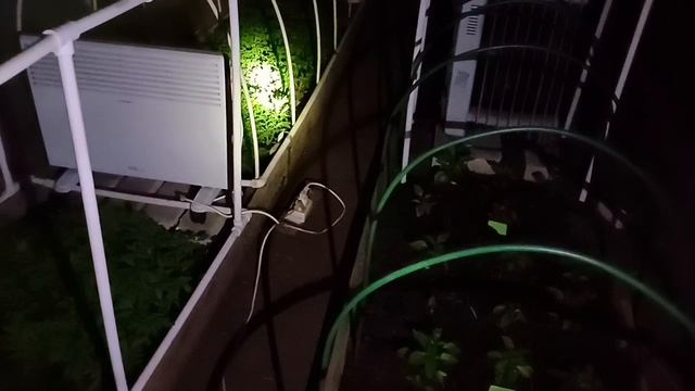 Ночное хождение с проверкой