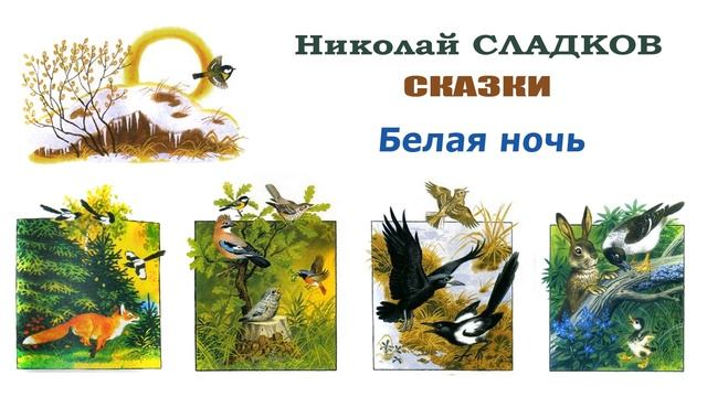 «Белая ночь» Николай Сладков - Слушать