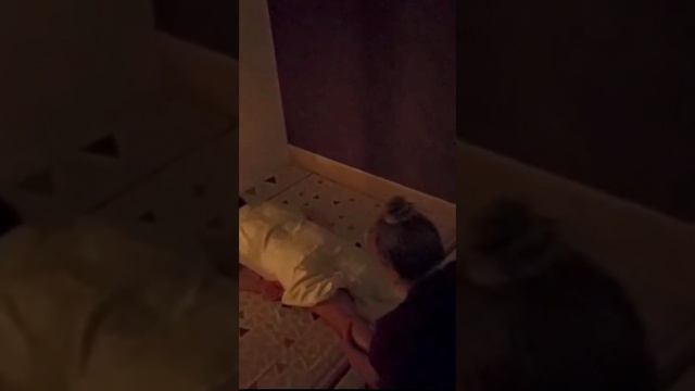 Тайский стретч массаж