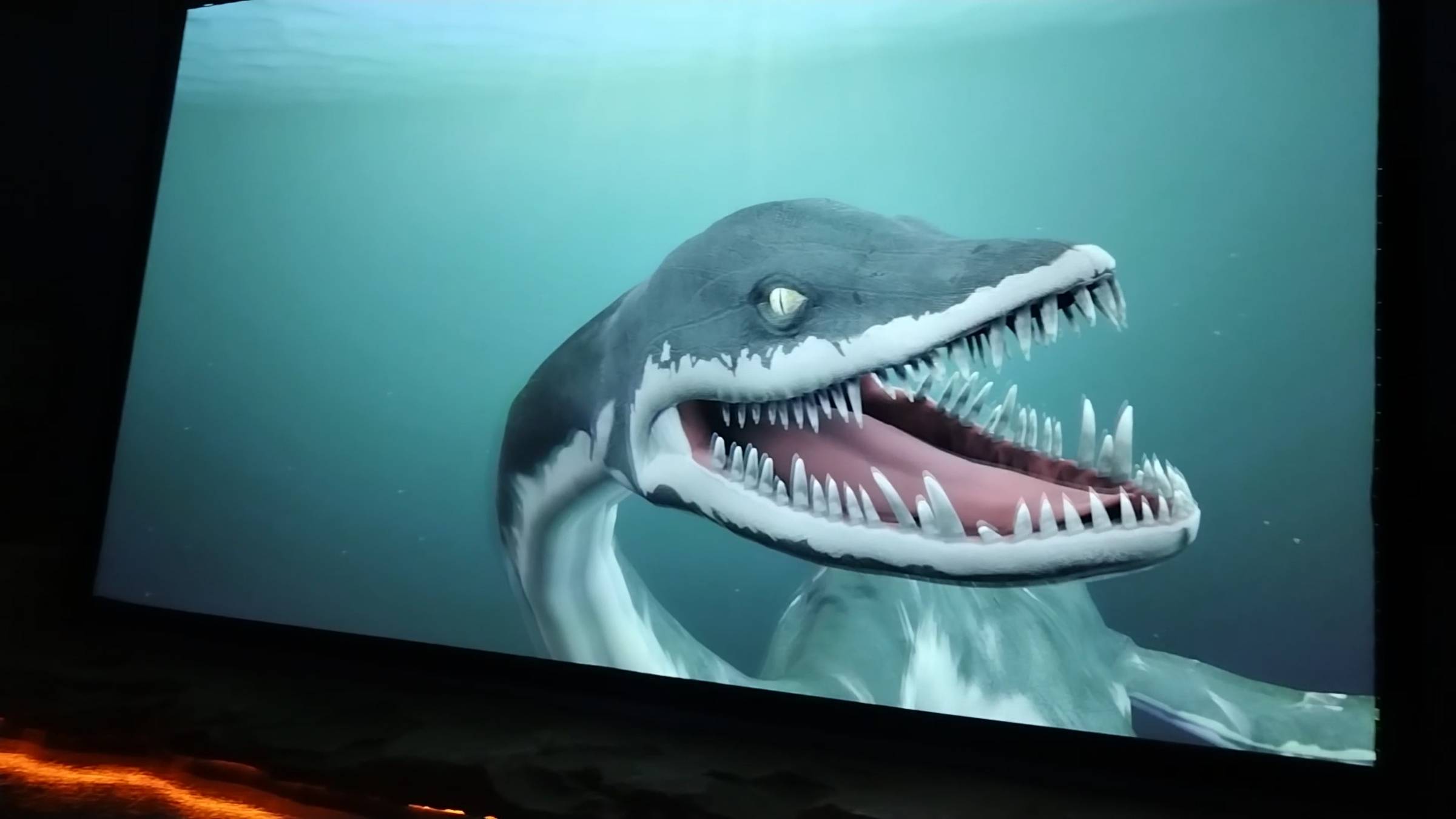 Что интересного во Владивостоке? Часть 4. От динозавров до пингвинов. Дальневосточный океанариум.